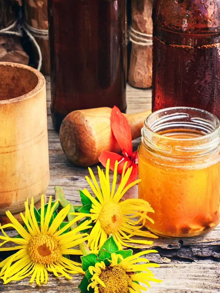 The Ultimate Elecampane Syrup Recipe - Healing Herb Patch