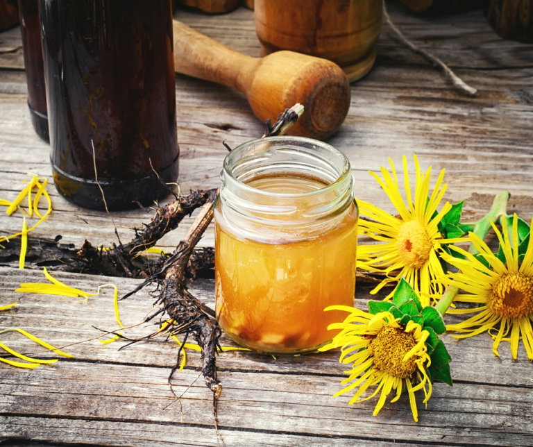 The Ultimate Elecampane Syrup Recipe - Healing Herb Patch