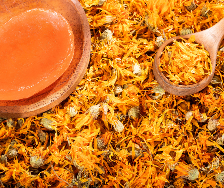 The Top Calendula Benefits - Healing Herb Patch